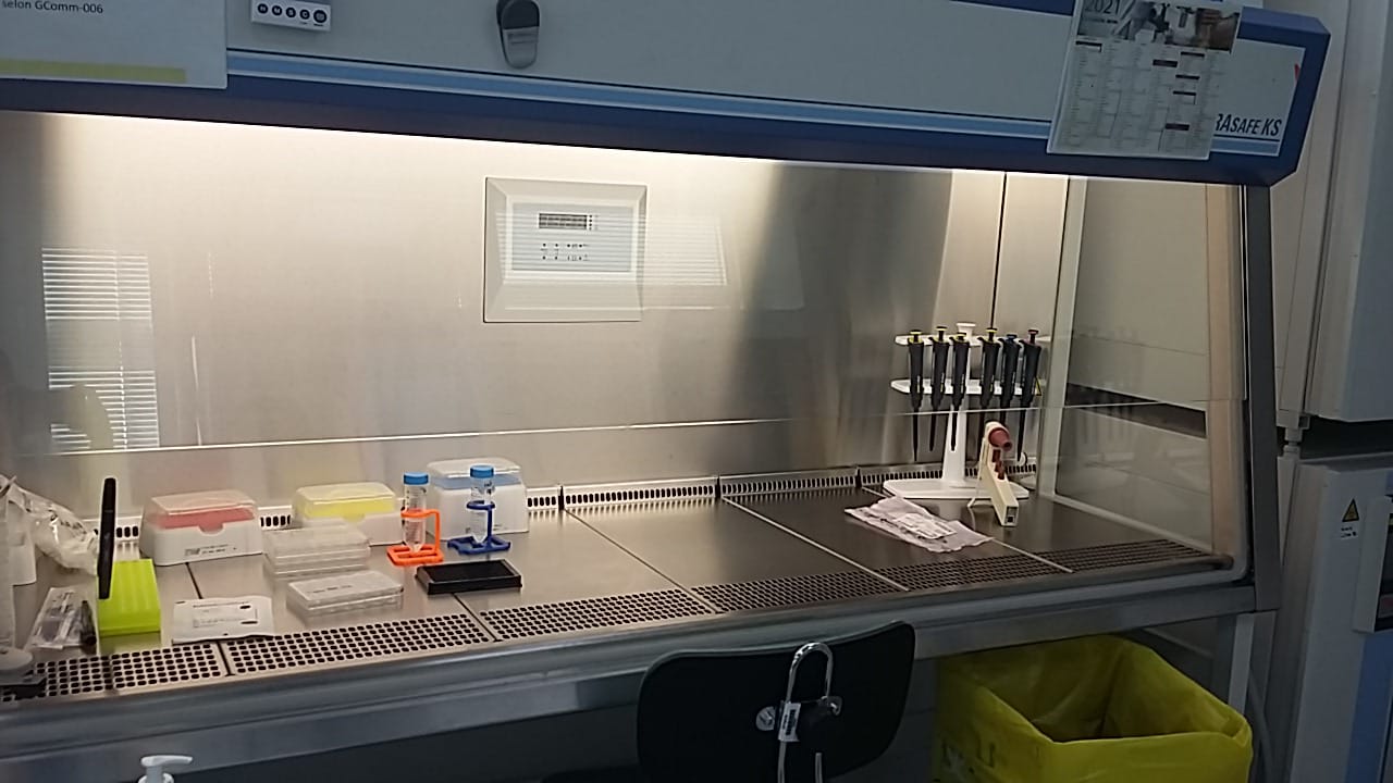 Apprentis chercheurs au laboratoire Episkin – Collège Gabriel Rosset